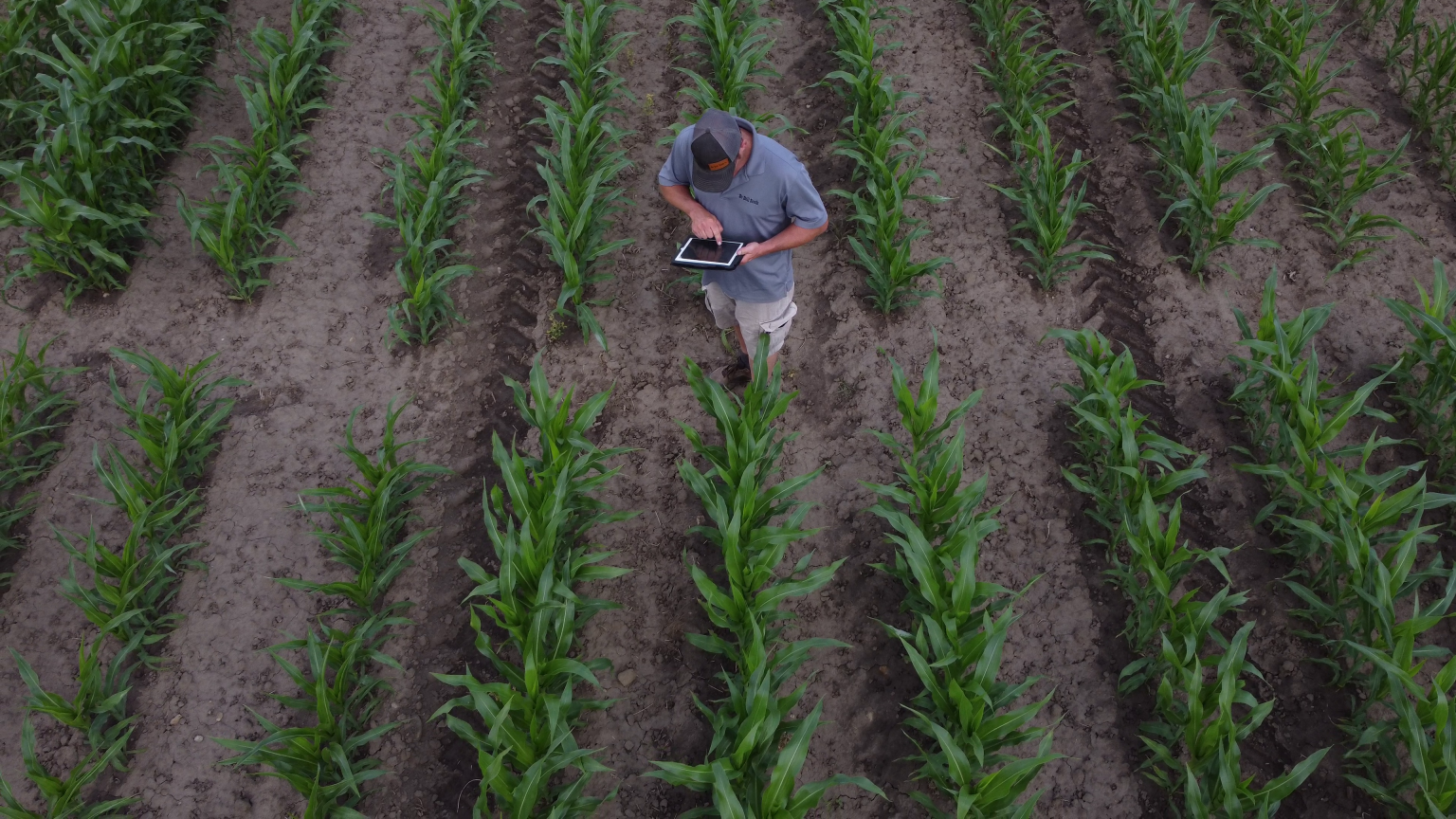 About Us - De Dell Seeds
