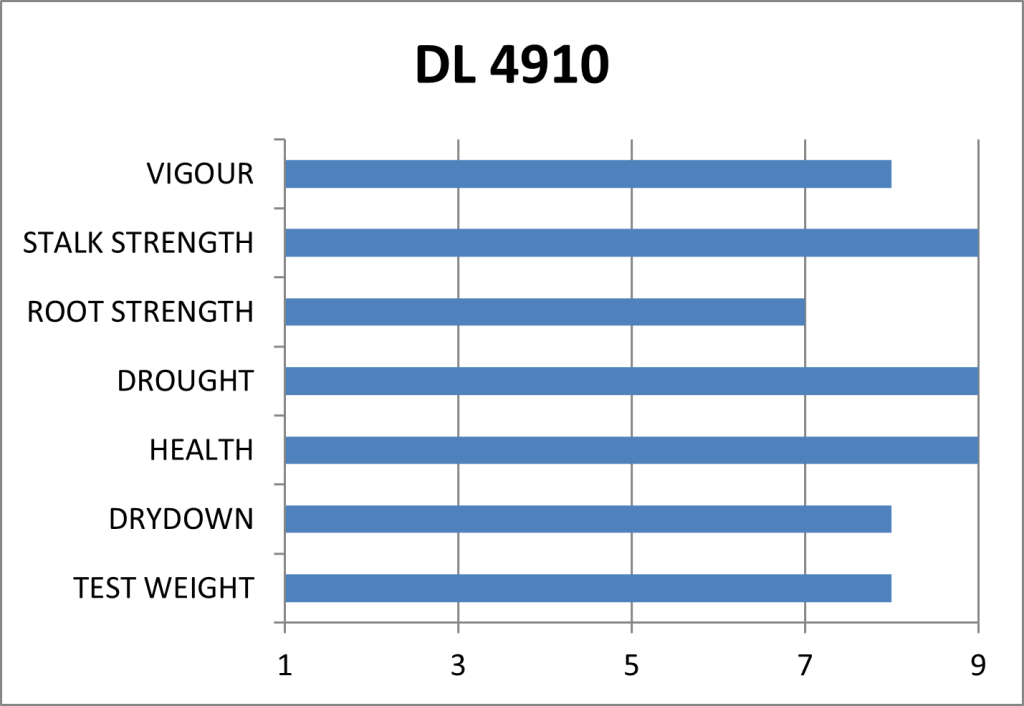 DL 4910 | 2975 CHU | 99 RM - De Dell Seeds